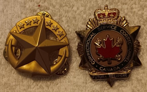 Two 2 Lot Metal Badge US Military USN Canada Correctional Service Maple Leaf Pin | eBay