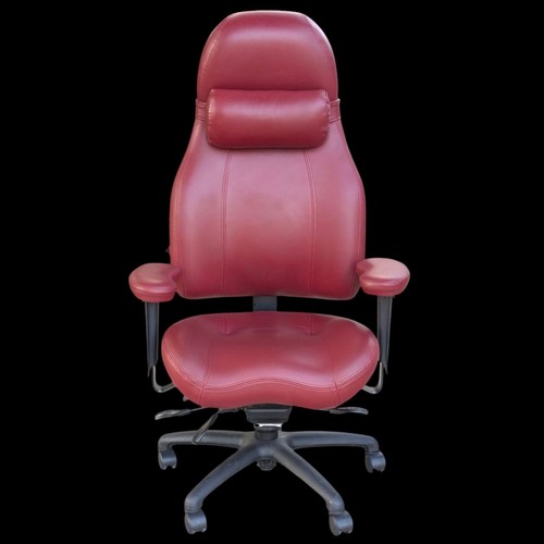 LIFEFORM High Tall Back Ultimate Executive Office Chair Genuine Wine ...