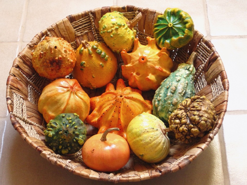 25 Seeds TEN COMMANDMENTS GOURD Mix Crown of Thorns Mixed Colors ...