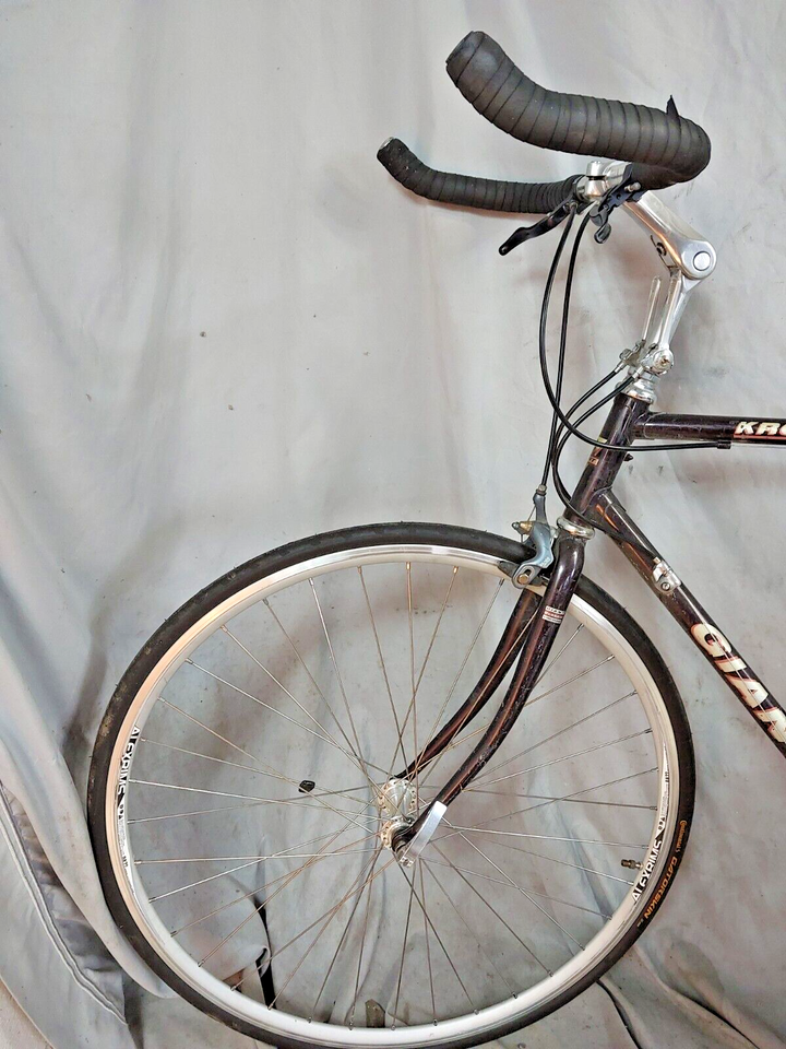 1988 Giant Kronos Road Bike Large 58cm Chromoly Steel Triple Butted USA ...