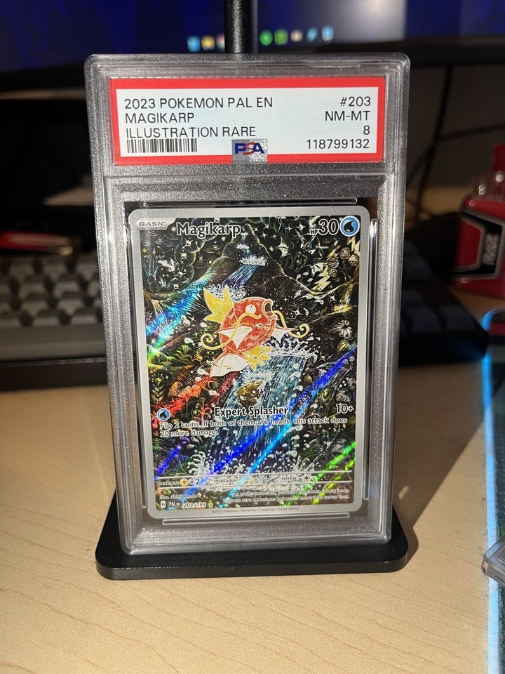 MAGIKARP 2023 POKEMON PALDEA EVOLVED ILLUSTRATION RARE 203/193 PSA 8 | eBay