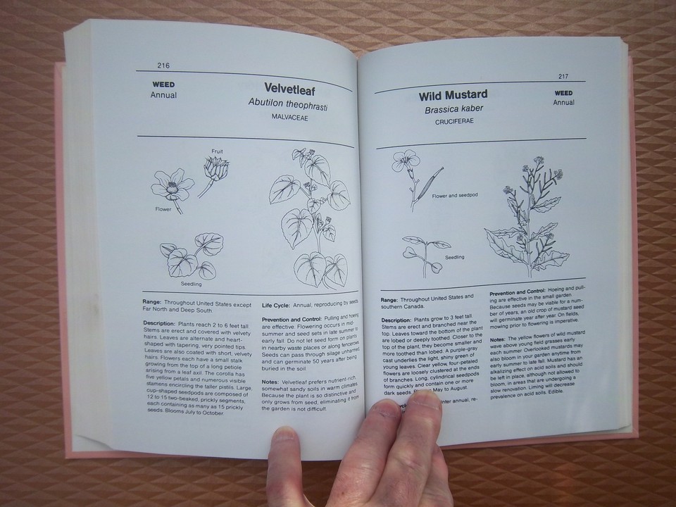 Rodale's Garden Insect, Disease, and Weed Identification Guide | eBay