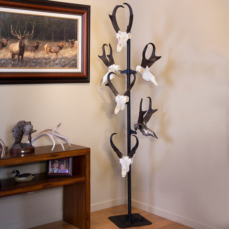 Graphite Black Trophy Tree European Trophy Mount, Sturdy and Sleek ...