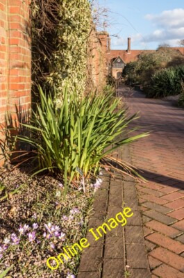 Photo 6x4 RHS Garden, Wisley A wall and border at the RHS Garden ...