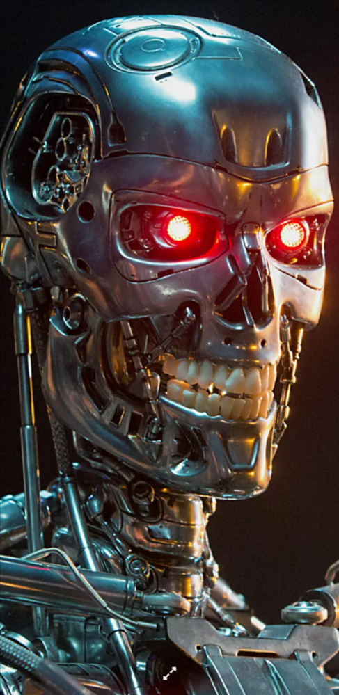 Terminator Wall Vinyl Decal Graphic (Removable Adhesive Backing) | eBay