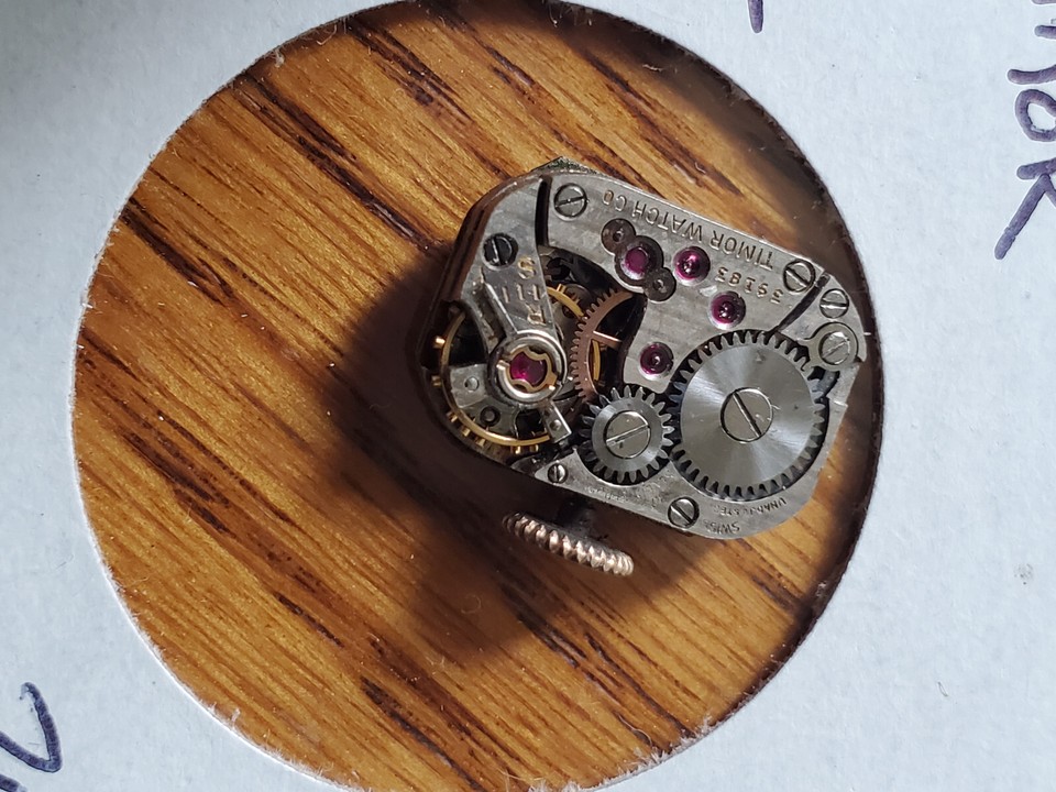 LADIES TIMOR WRIST WATCH MOVEMENT #716 | eBay