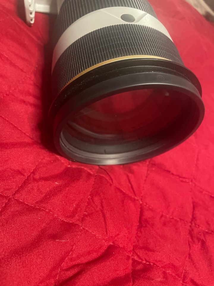 Nikon AF-S NIKKOR 300mm f/2.8 D | eBay