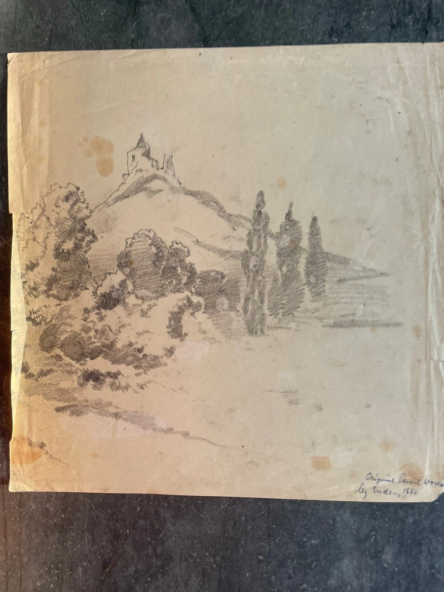 Tree Trunk Drawings In Pencil