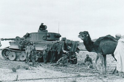 WW II German Photo == Tiger Tank In North Africa - Africa Korps | eBay