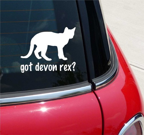 GOT DEVON REX? CAT GRAPHIC DECAL STICKER ART CAR WALL DECOR | eBay