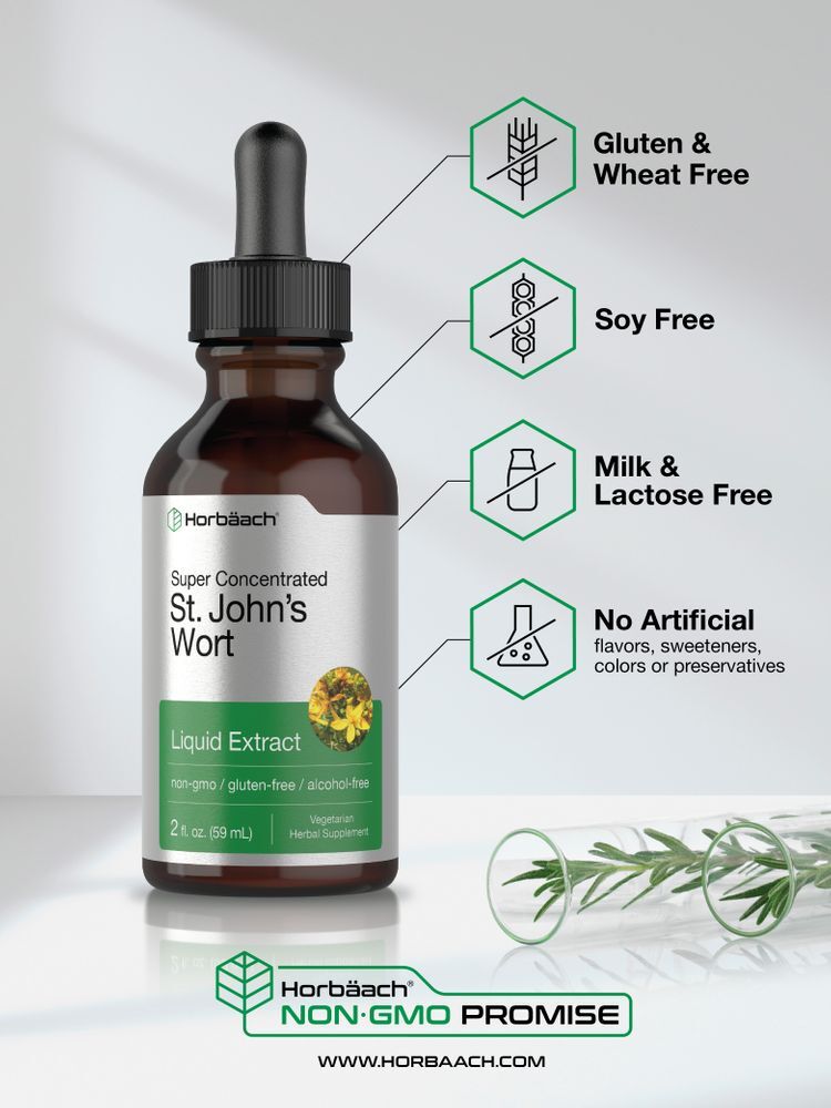 St Johns Wort Liquid Extract | 2 fl oz | Alcohol Free | Vegetarian | by ...