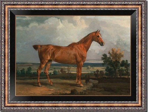 Hand painted Old Master-Art Antique Oil painting Animal horse on canvas ...