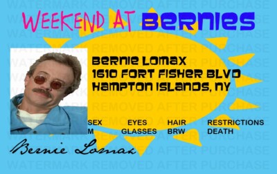 WEEKEND AT BERNIES BERNIE LOMAX NOVELTY LICENSE MADE ON METAL | eBay