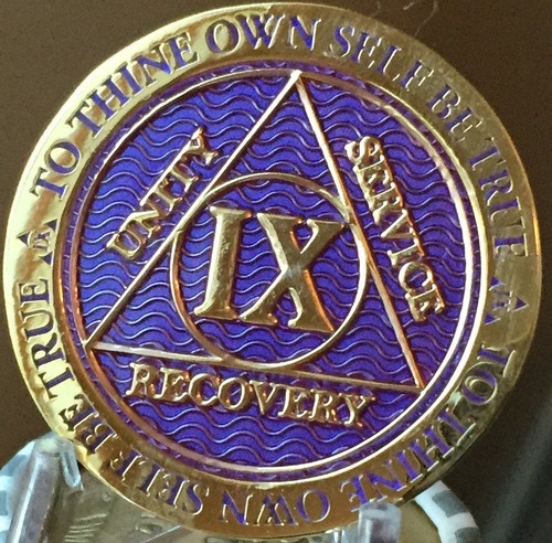 9 Year AA Medallion Purple Gold Plated Alcoholics Anonymous Sobriety ...
