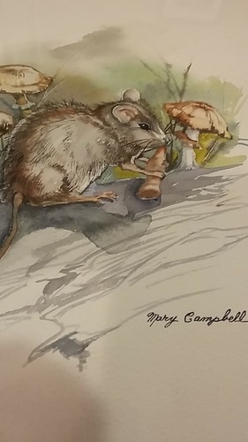 MARY CAMPBELL - MOUSE EATING MUSHROOMS - BEAUTIFUL PICTURE | eBay