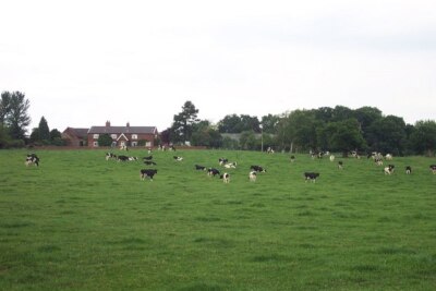 Photo 6x4 Newton Farm Newton/SK0325 c2006 | eBay UK