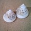 Shells Seashells, Beach Shells, Individual Sea Shells - Choice of Over ...