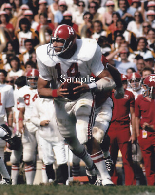 Richard Todd Alabama Football Photo Poster Print RT1 | eBay