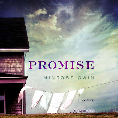 Promise by Minrose Gwin 2018 Unabridged CD 9781538500323 9781538500323 ...