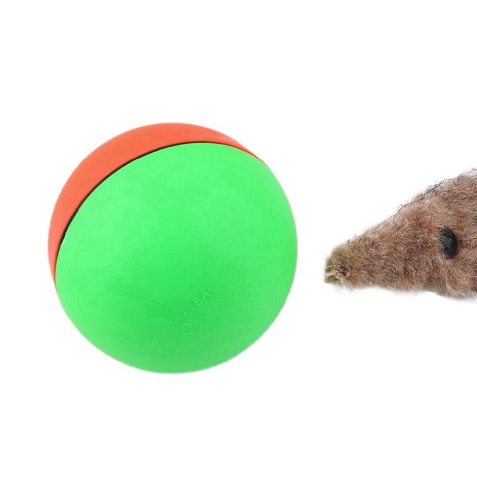 Toy Pet Product Beaver Ball Jumping Weasel Motorized Operation Rolling ...