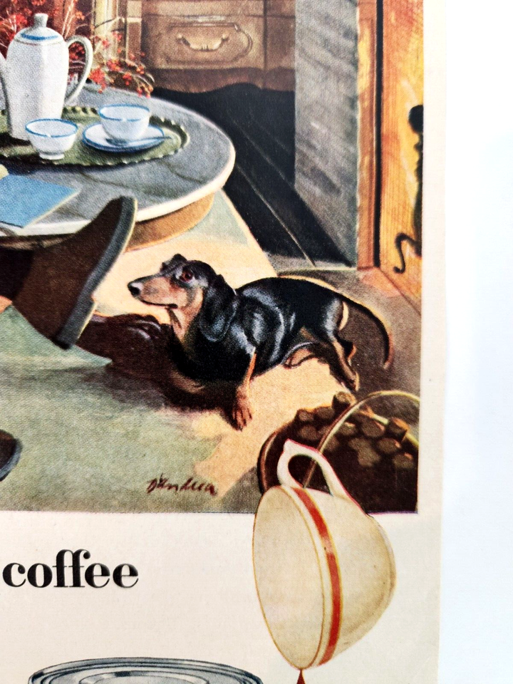 Dachsund Dog Maxwell House Coffee Vintage 1951 Ad Magazine Print Stormy ...