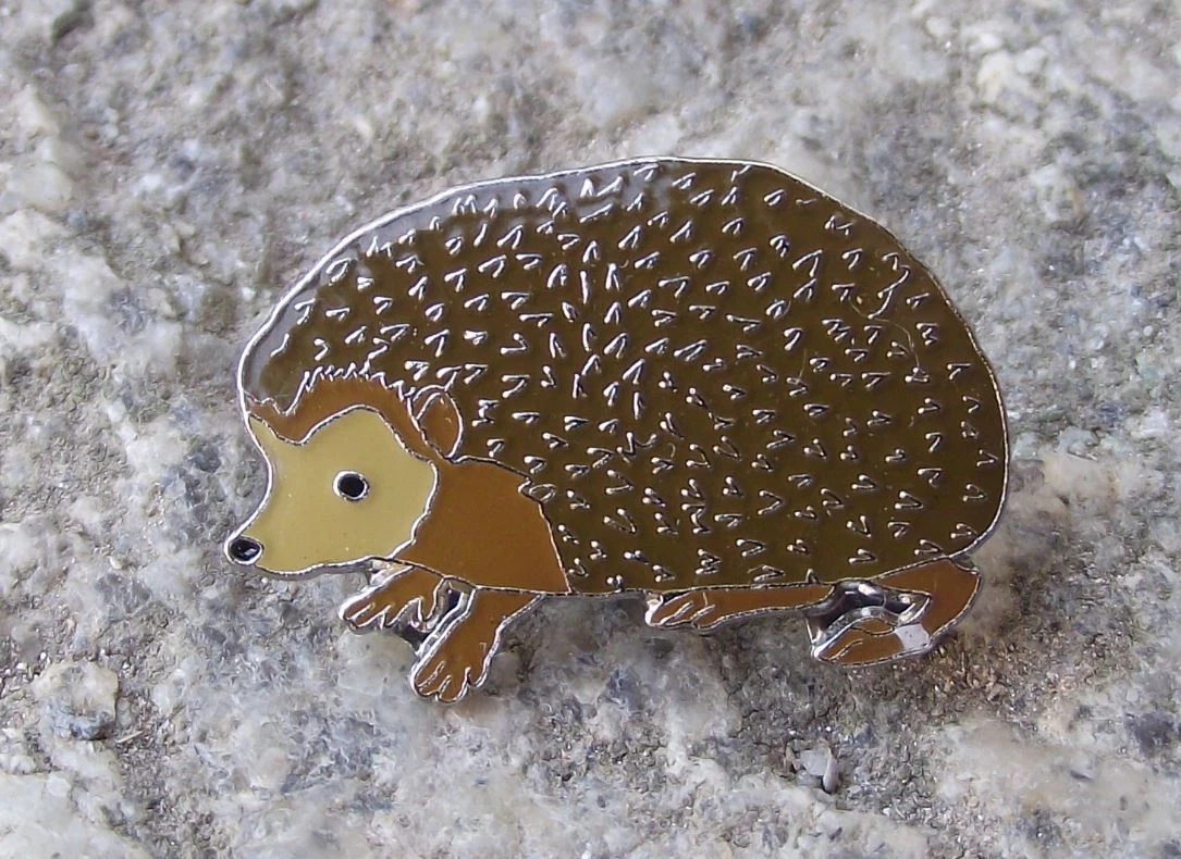North American Hedgehog