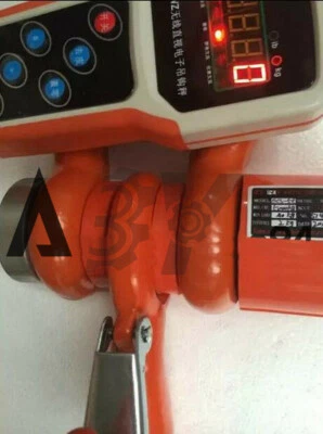 One Digital 10T Electronic Hanging Crane Scale With