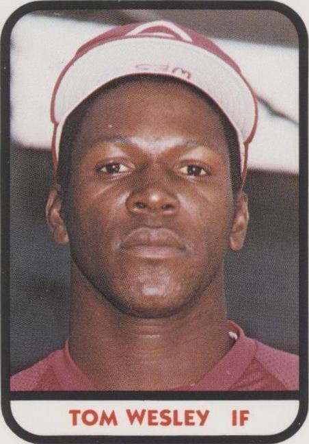 1981 TCMA Minor League - Tom Wesley #390 (RC) for sale online | eBay