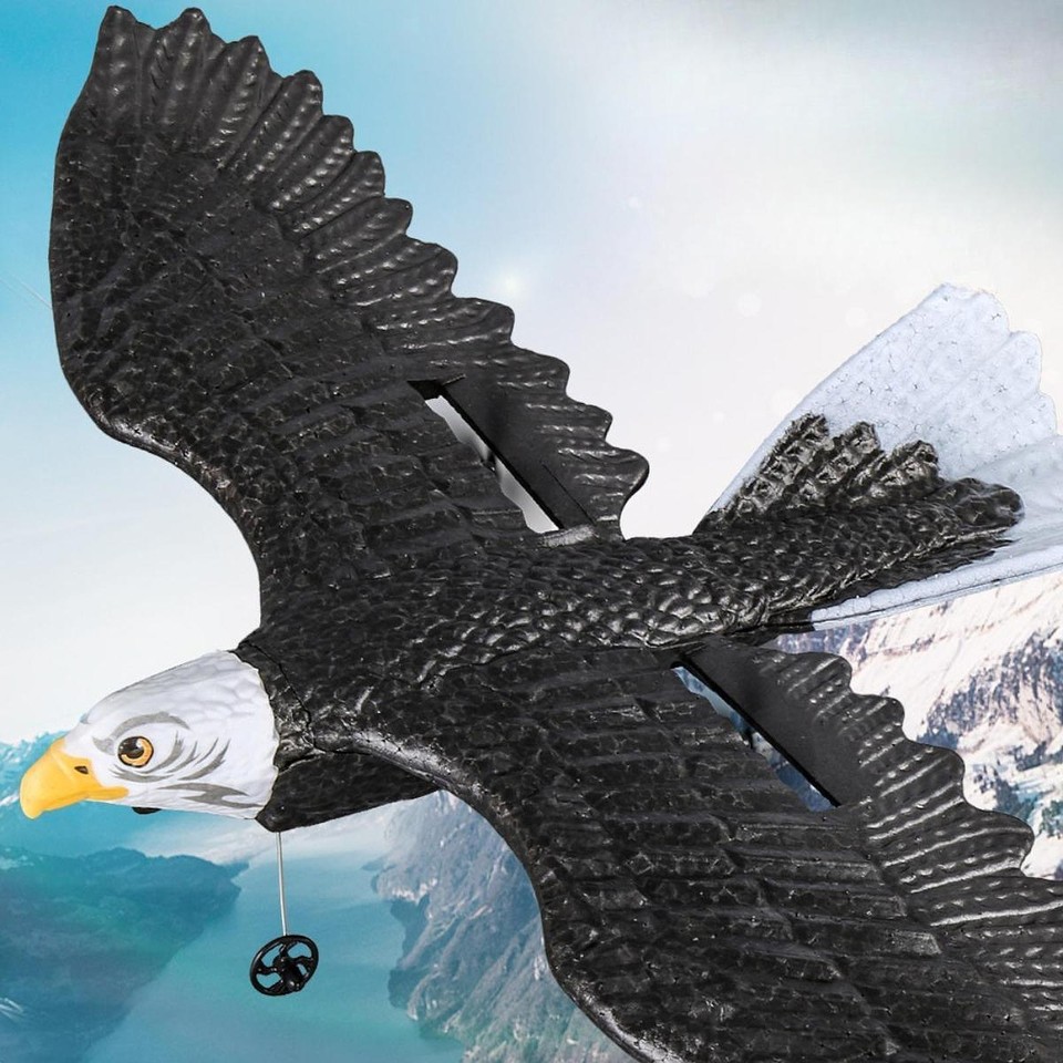 Flying Birds RC Aircraft 2 Channel RC Glider Easy to Fly Outdoor ...