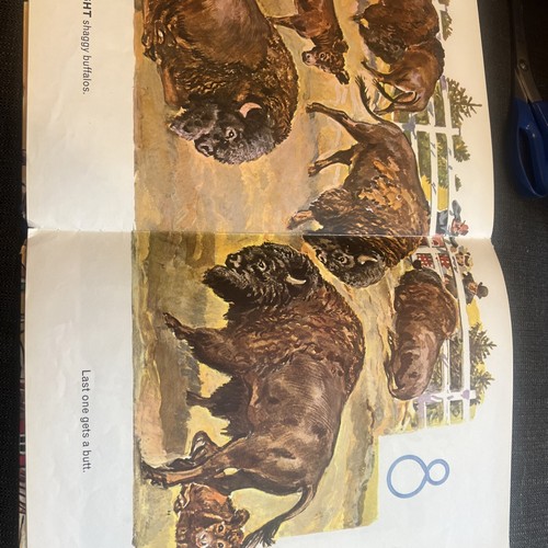 I CAN COUNT. Book Vtg By Carl Memling. Golden Press 1963 | eBay