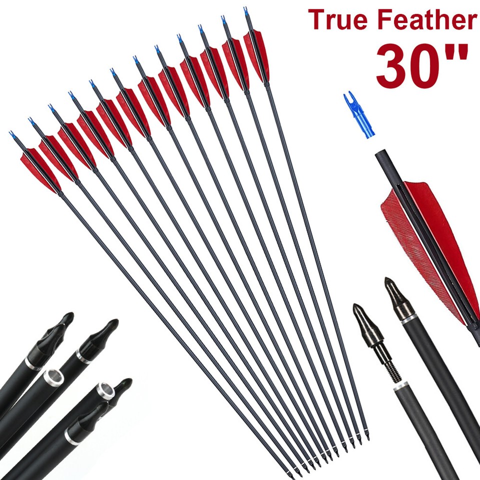 6/12 Pack 28/30/32 Inch Carbon Arrow Spine 500 for Compound/Recurve Bow ...