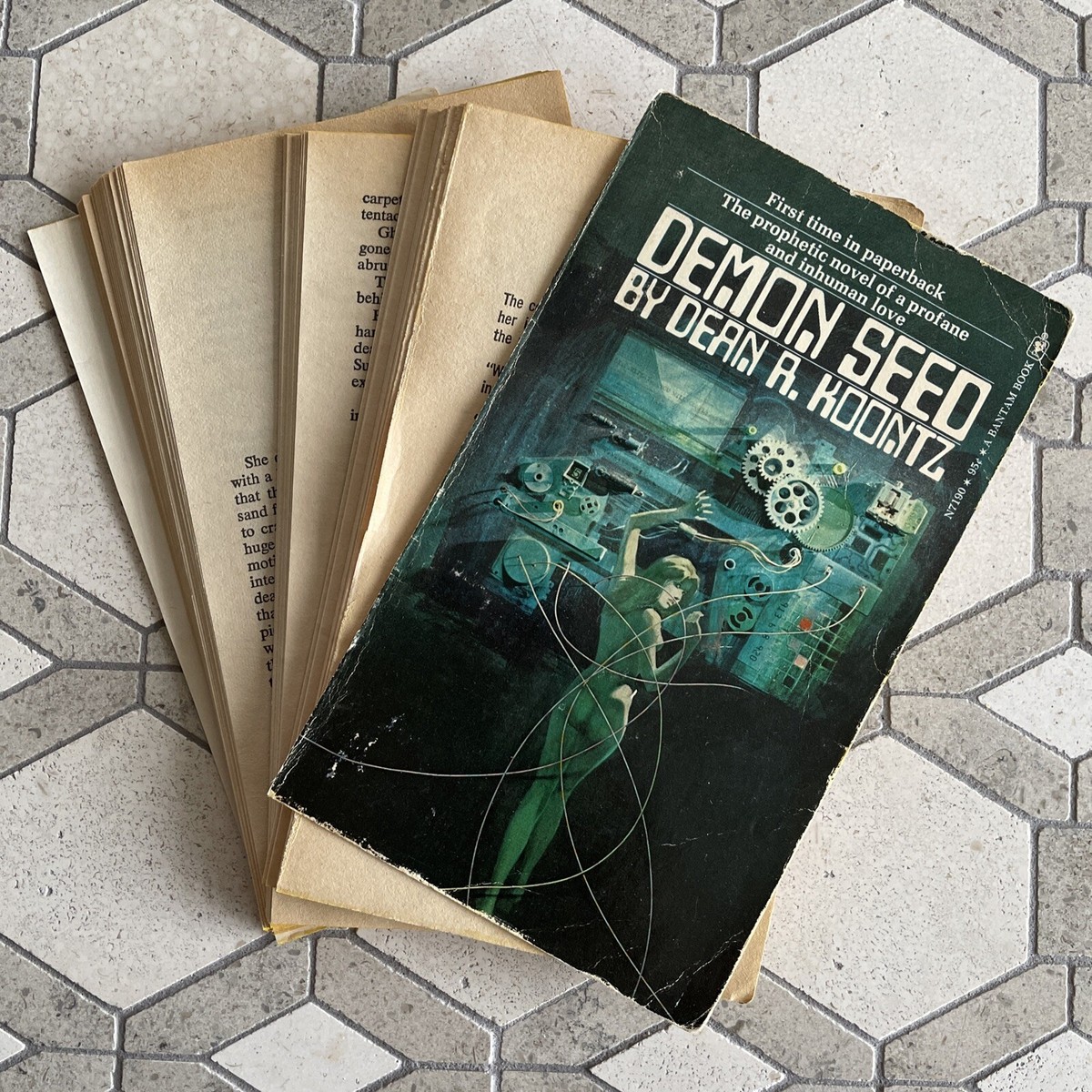 Demon Seed NEW Warlock Legendary In Best Demon Seed Warlock Deck Is