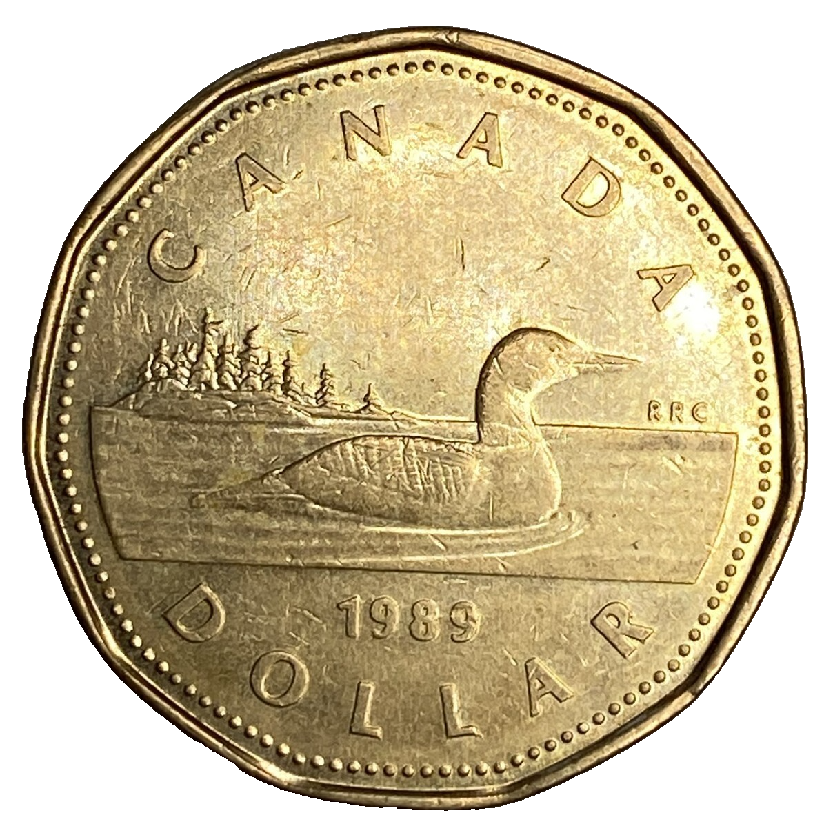CANADA 1989 ONE 1 DOLLAR LOONIE COIN | eBay