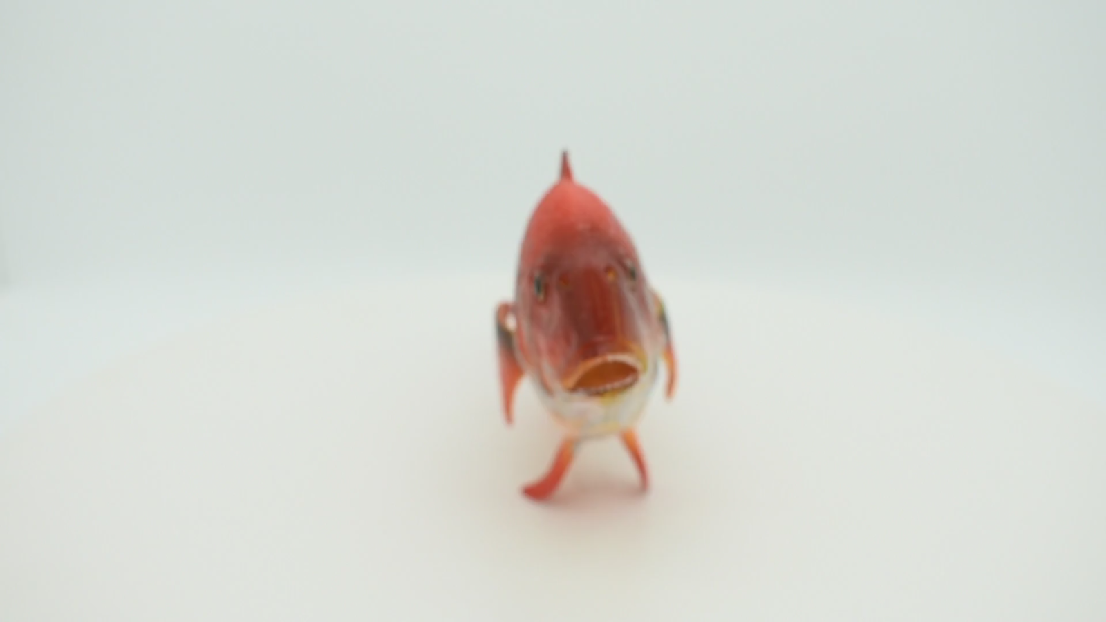 Red Snapper, Fish, Onaga, Rockfish, Realistic Rubber Model, Hand ...