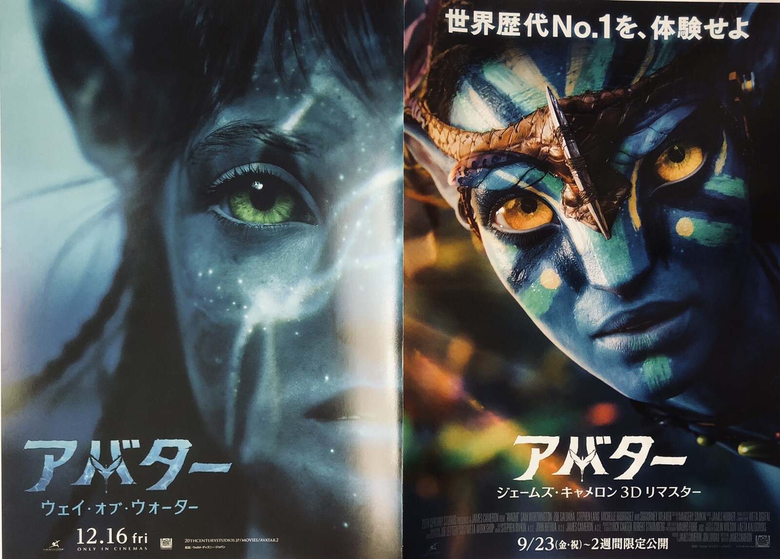 Avatar The Way of Water 2types/set James Cameron JAPAN movie flyer mini ...
