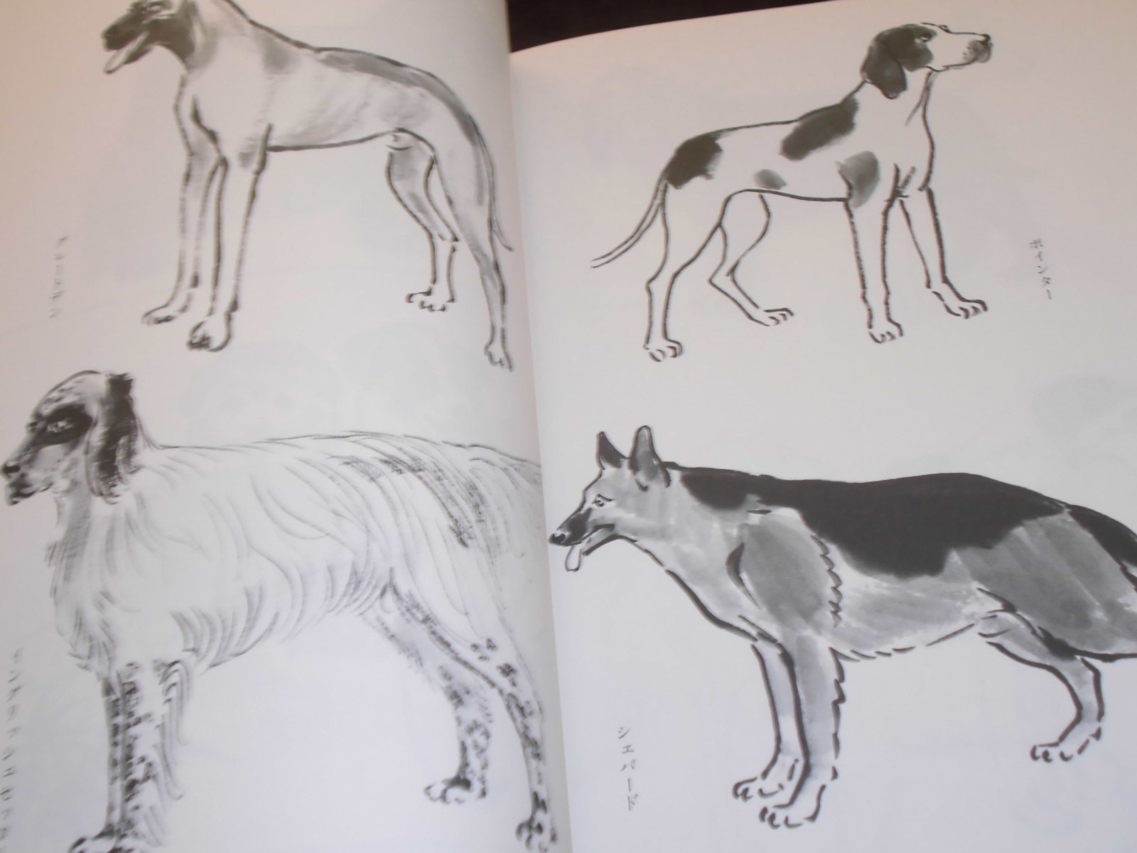 Japanese Sumi-e Drawing Sample Book Kikan Suibokuga Bessatsu 4 Animals ...