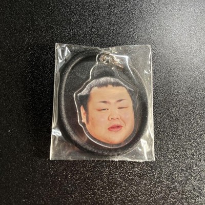 Sumo Wrestler Hair Tie Yamaseki Warrior Plastic Multicolor Accessory ...