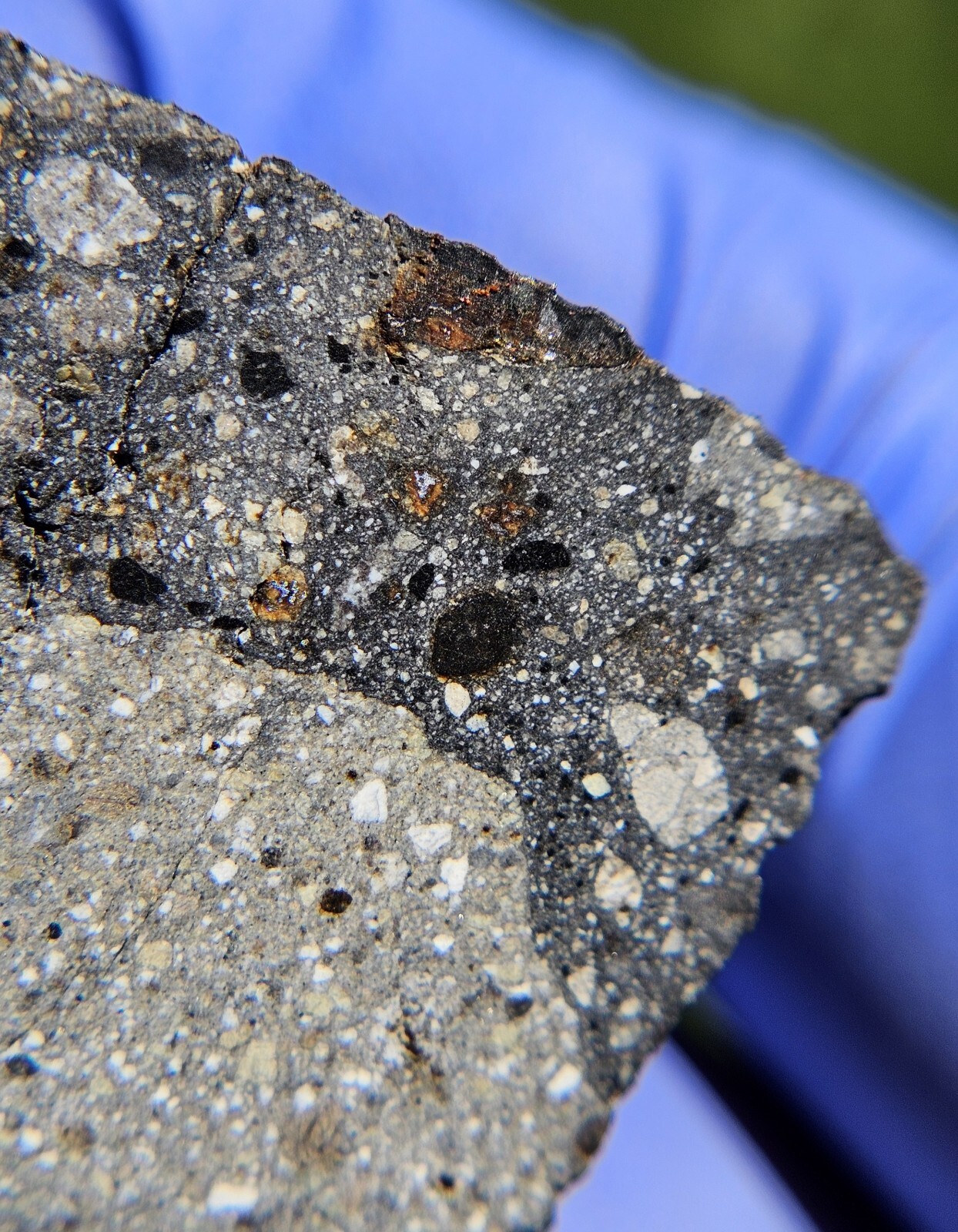Meteorite**NWA 16792 (Prov.), EUCRITE**49.620 gram, W/Carbonaceous ...