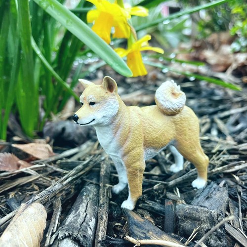 Safari Ltd Shiba Inu Dog Animal Figure IN STOCK for sale online | eBay UK