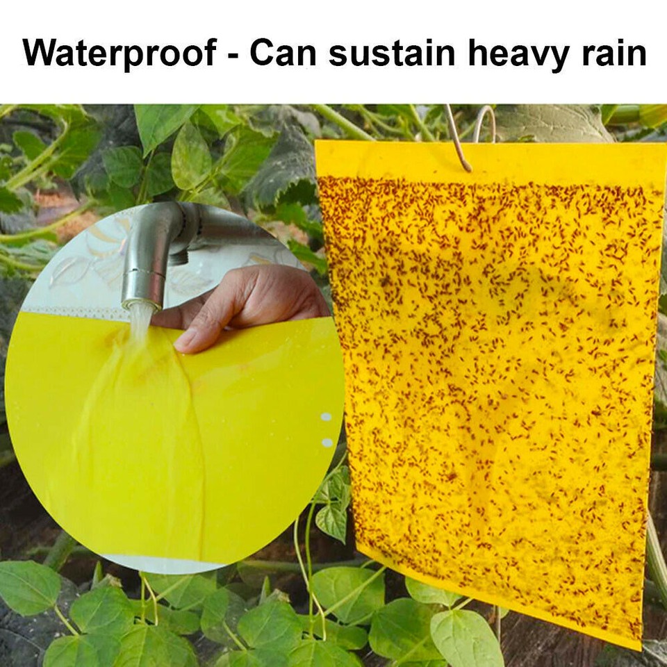 10X Yellow Sticky Fly Trap Bug Insect Catcher Trap Paper Killer Glue ...