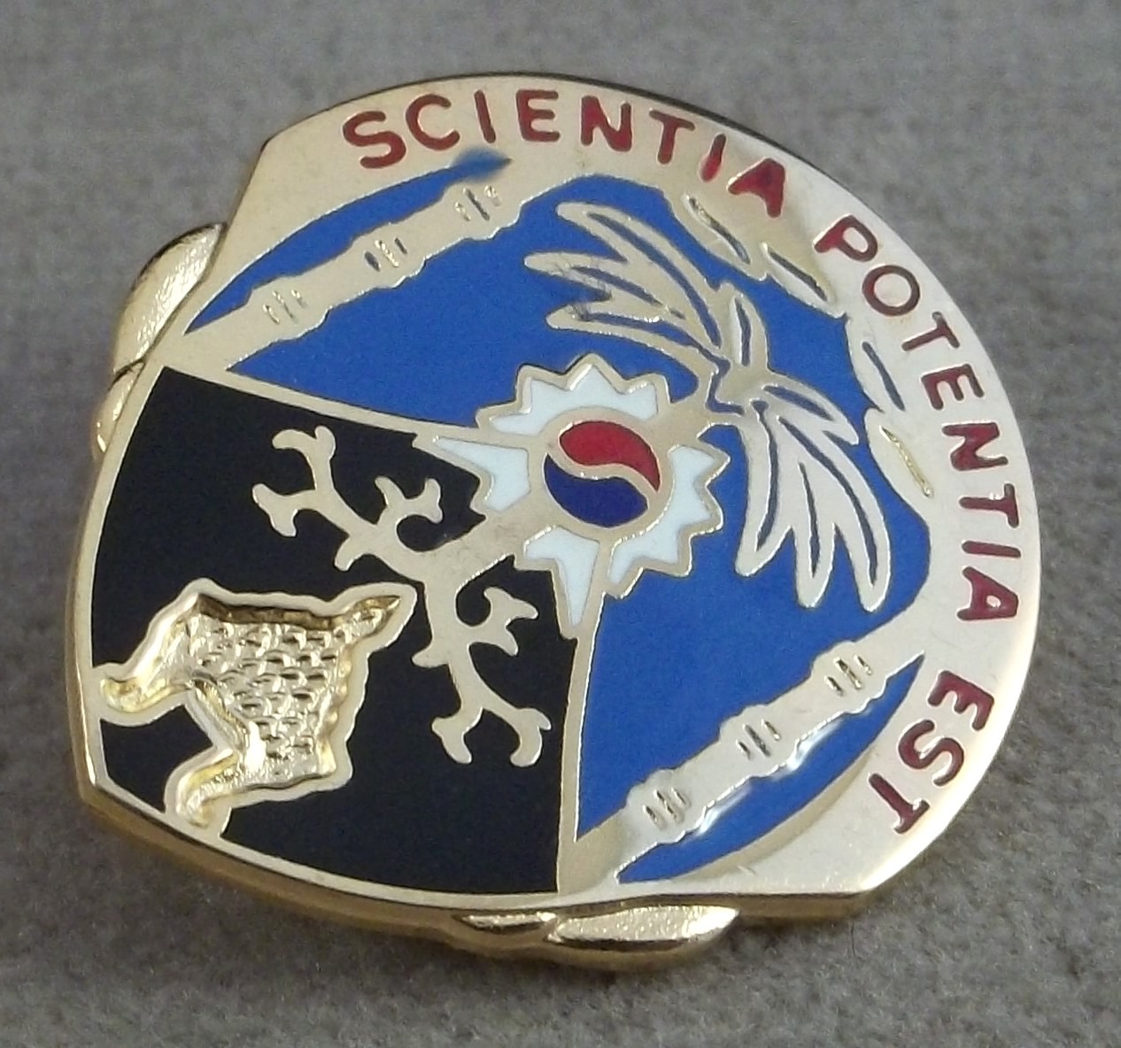 US Army Unit Crest Insignia 500th Military Intelligence Brigade - V ...