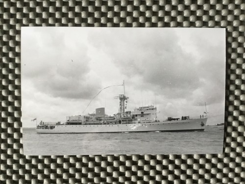 HMS Vidal - 1951 - Survey Vessel - British Royal Navy - Photograph ...