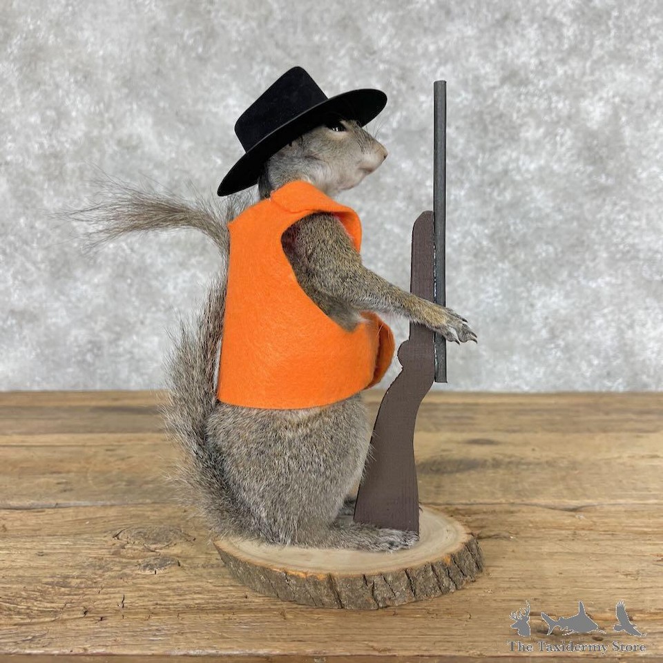 #28615 P | Hunting Cowboy Squirrel Novelty Taxidermy Mount For Sale | eBay