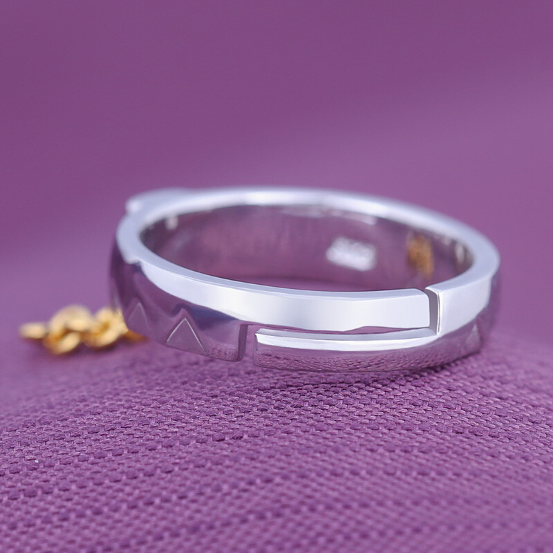 JoJo Bizarre Adventure Kujo Jotaro Ring Hand Rings Jewelry S925 Silver ...