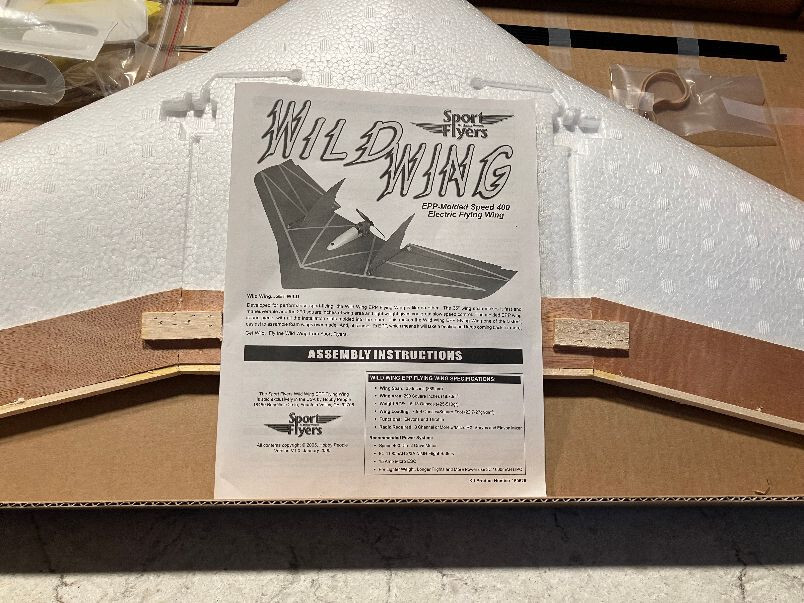 Sport Flyers Wild Wing RC Pusher Prop Jet Airplane ARF Kit | eBay