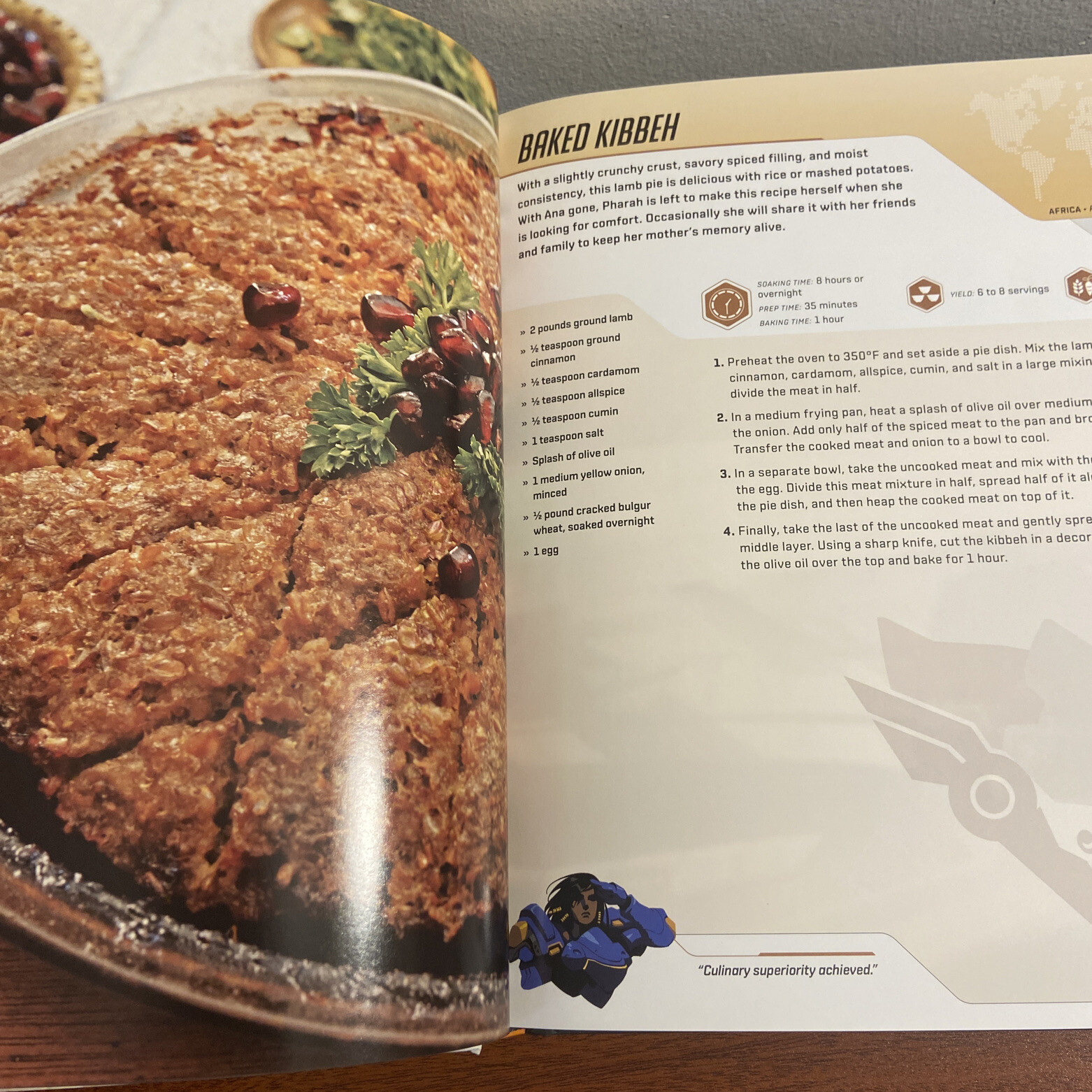 Overwatch: the Official Cookbook (Hardcover, 2019) 9781683835882| eBay