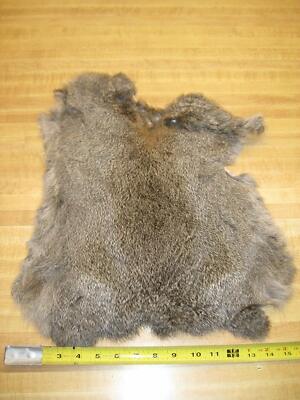 Tanned Rabbit Hide Fur Coats Crafts Trapping | eBay