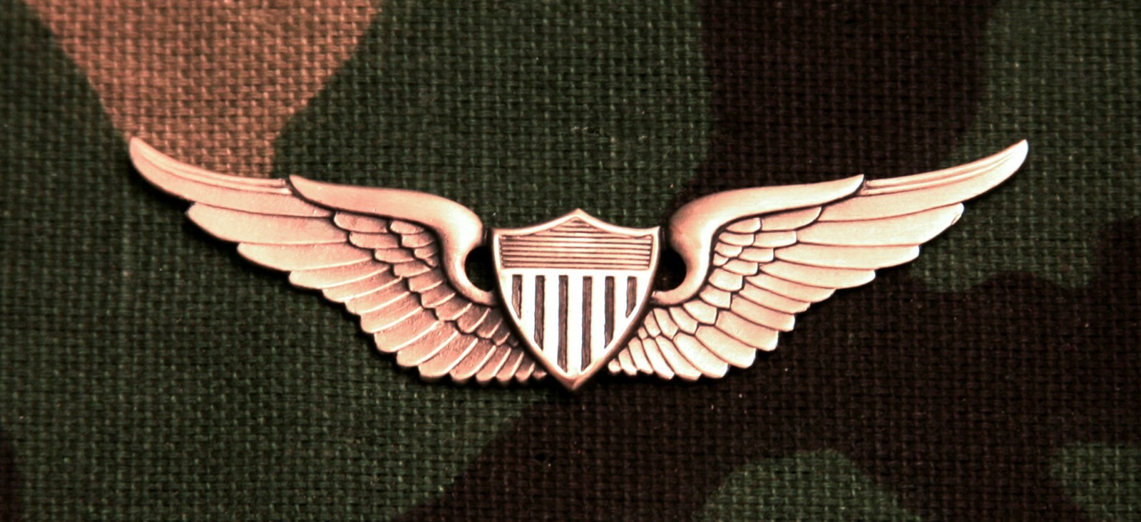 US ARMY BASIC AVIATOR PILOT BADGE; FULL SIZE OXIDIZED SILVER FINISH | eBay