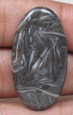 24 CTS NATURAL BAT CAVE JASPER CABOCHON OVAL SHAPE LOOSE GEMSTONE D ...