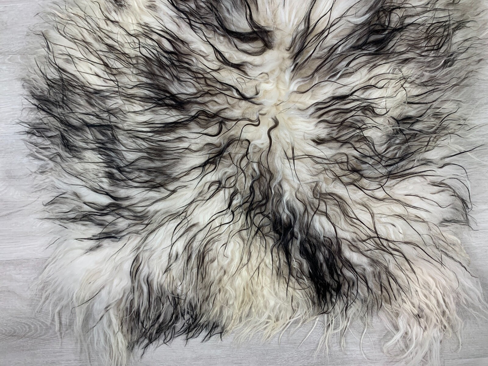 Icelandic Curly Mouflon Black Pelt Throw Blanket Hide Genuine Sheepskin ...